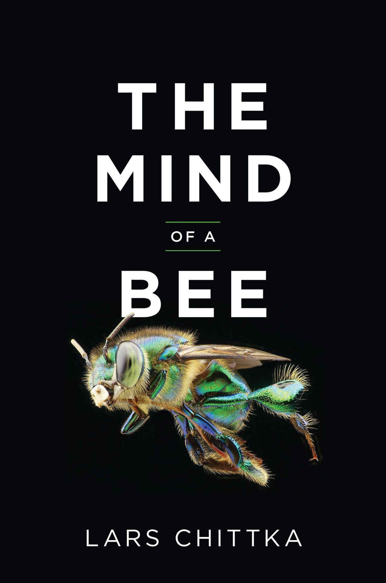 Mind of a Bee: A rich and surprising exploration of the intelligence of ...