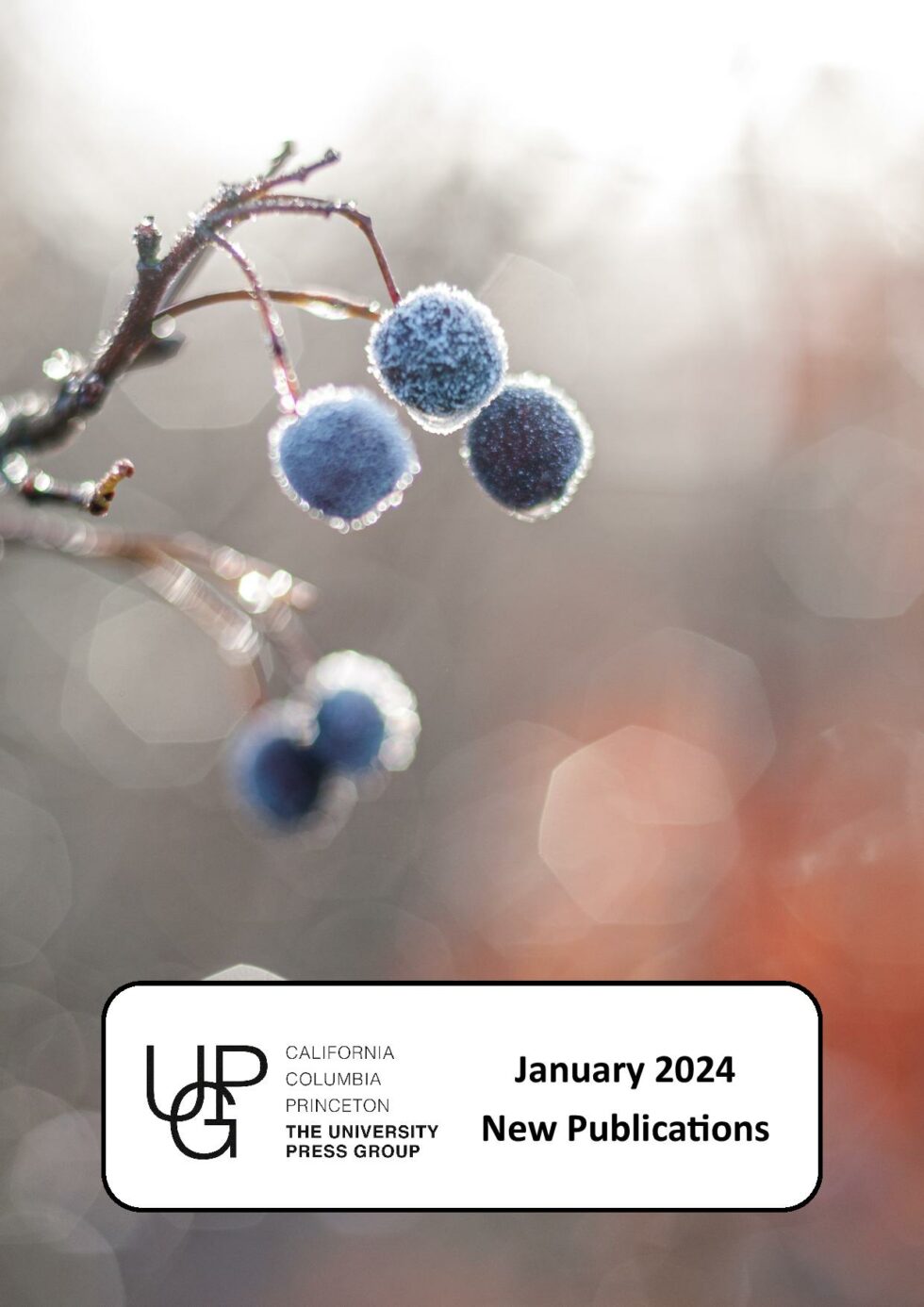 UPG Front Page - The University Press Group